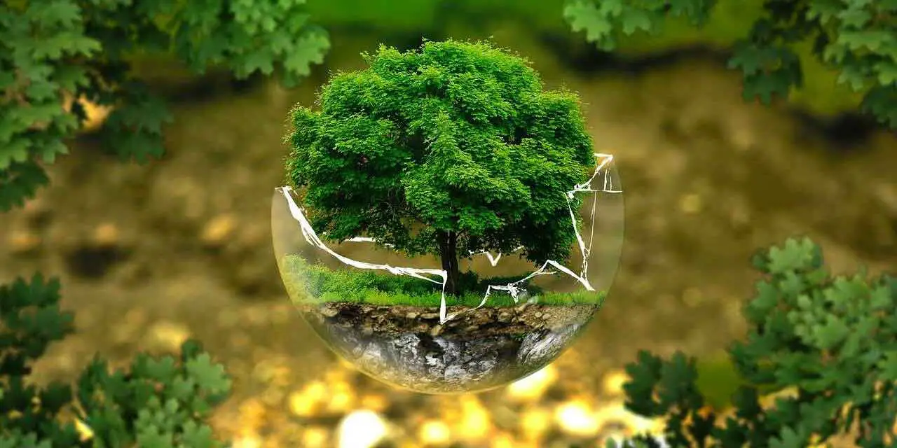 Produits Écologiques et Durables : Pourquoi Acheter et Comment Choisir ...