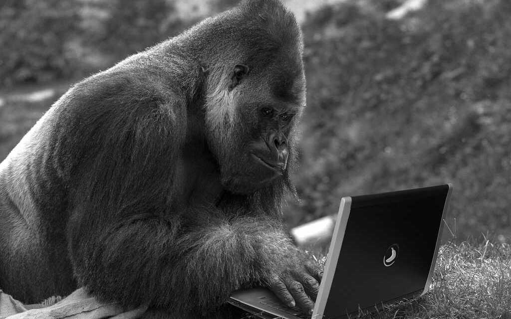 Top 7 Smartest Animals Doing Mind-Boggling Things | Ecobiomania