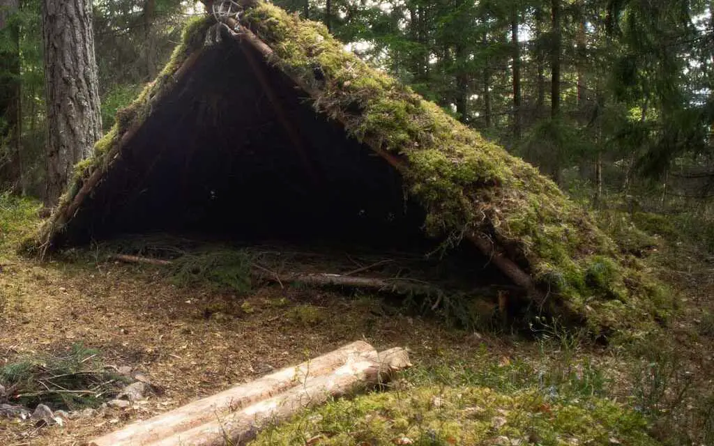 7 Compelling Reasons To Be A Prepper | Ecobiomania